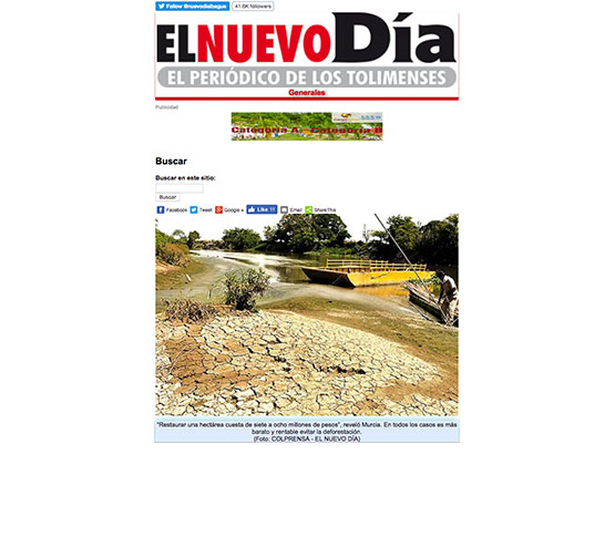 LA SELVA TALADA EN AMAZONÍA ES EQUIVALENTE AL ÁREA TOTAL DEL CHOCÓ