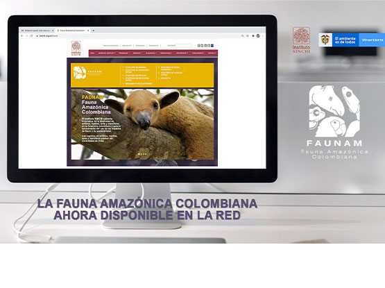 La fauna amazónica Colombiana ahora disponible en la red