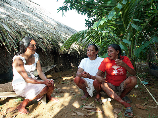 Comunidades indígenas de la Amazonia ya tienen sus propios indicadores ...