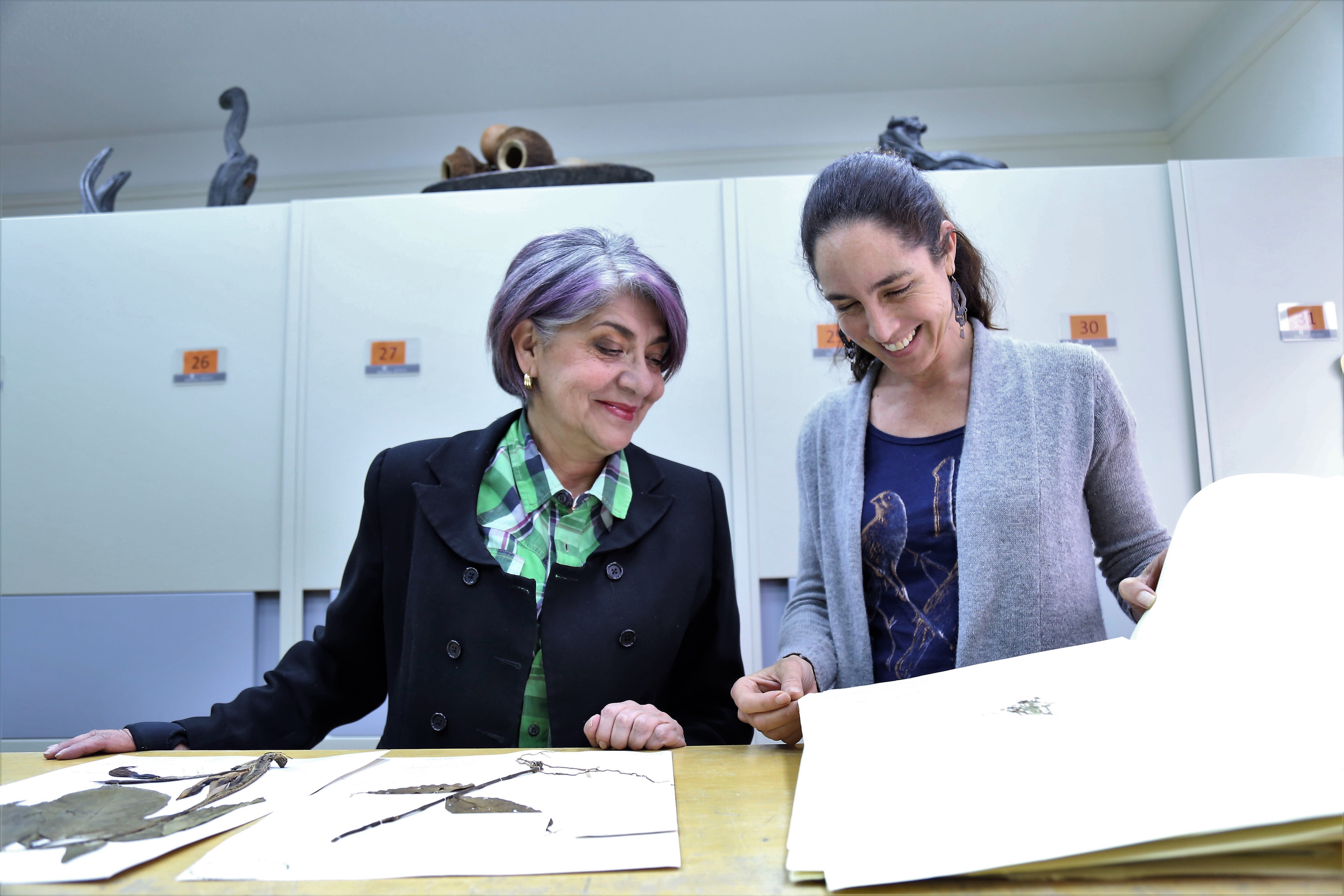 El SNABI, la UICN y SINCHI, trabajan juntos en la categorización de ...